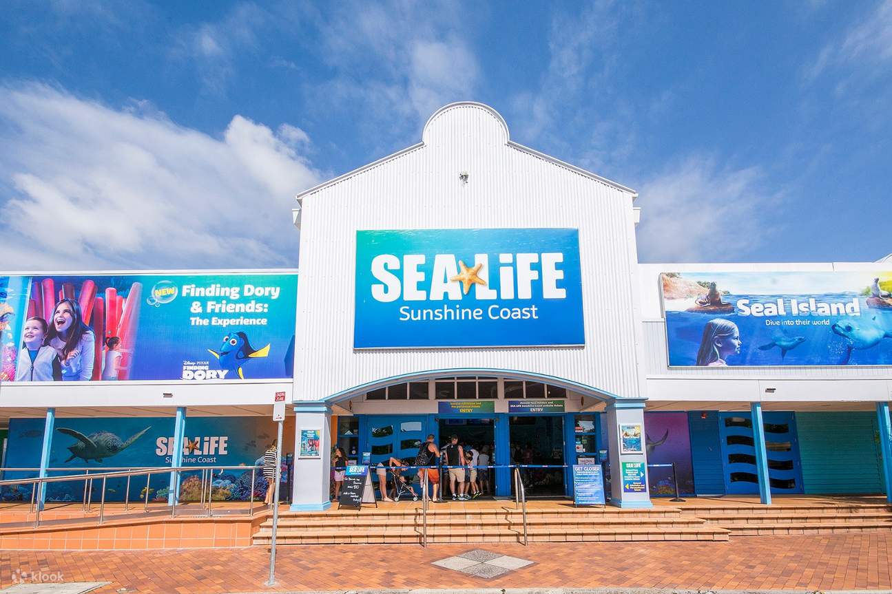 SEA LIFE Sunshine Coast Admission Ticket - Klook Singapore