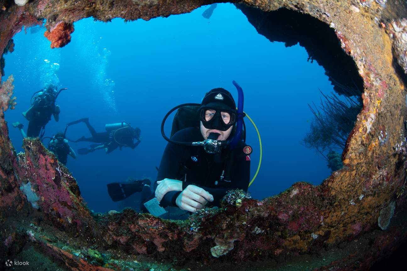 Experience Unforgettable Fun Dives in Tulamben with Our PADI 5 Star ...