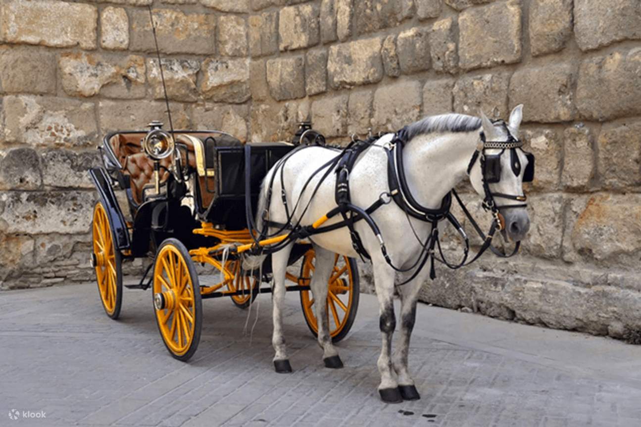 Horse Carriage Sightseeing Ride in Seville - Klook