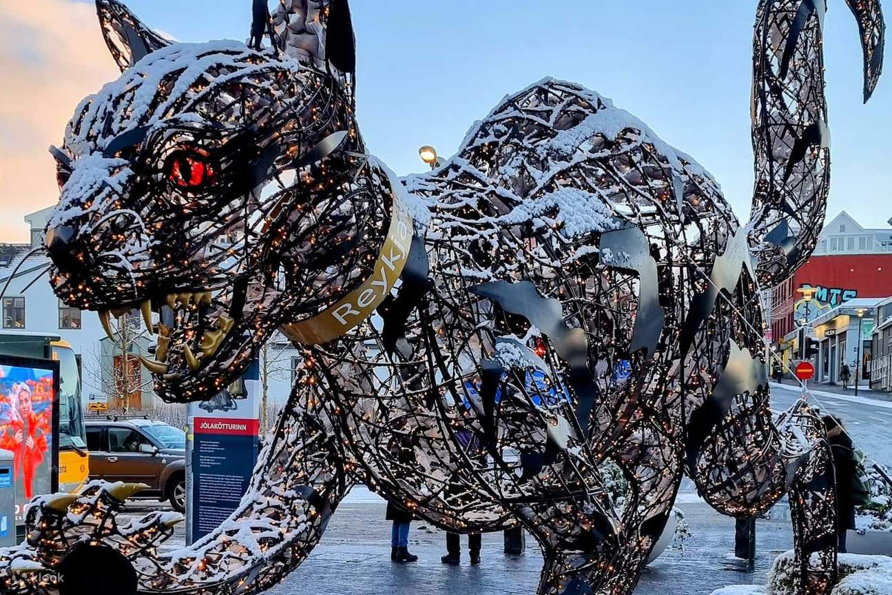 Cat Walk Tour in Reykjavik - Klook Malaysia