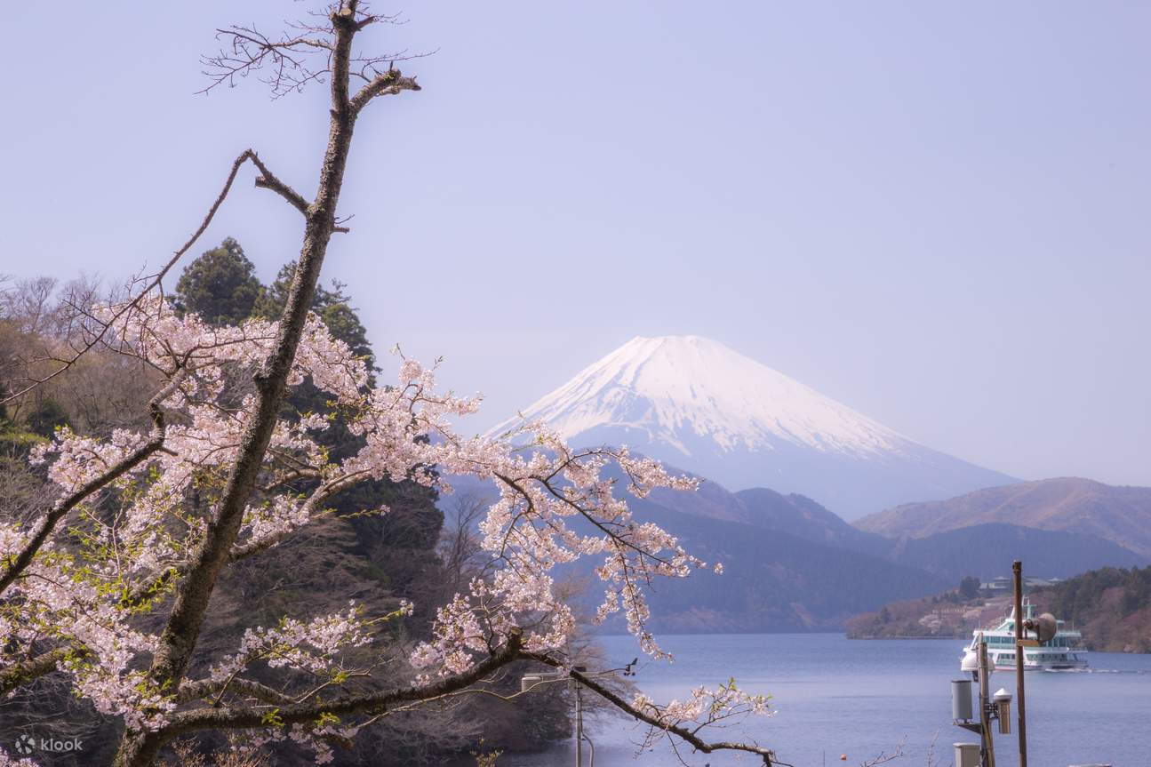 Hakone & Fuji Cruise & Cable Car & Owakudani Day Tour from Tokyo ...