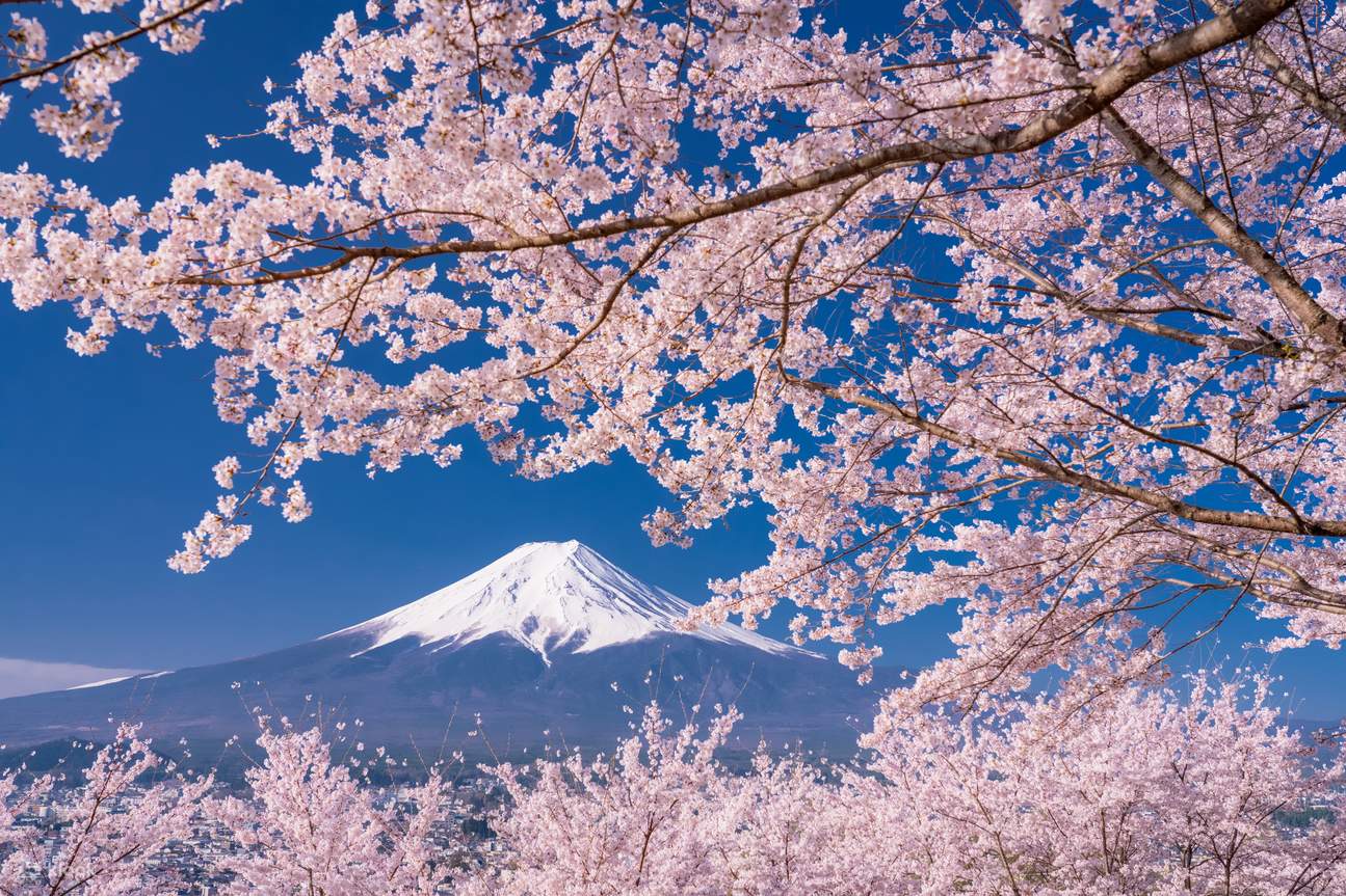Gita di un giorno al Monte Fuji: Parco Arakurayama Sengen, Oshino ...