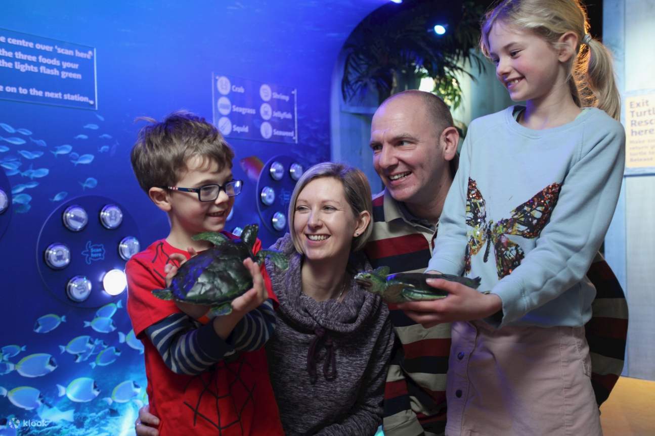 Grab your tickets for the SEA LIFE Aquarium in Blackpool! - Klook