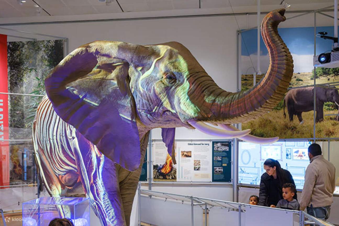 American Museum of Natural History Ticket - Klook Philippines