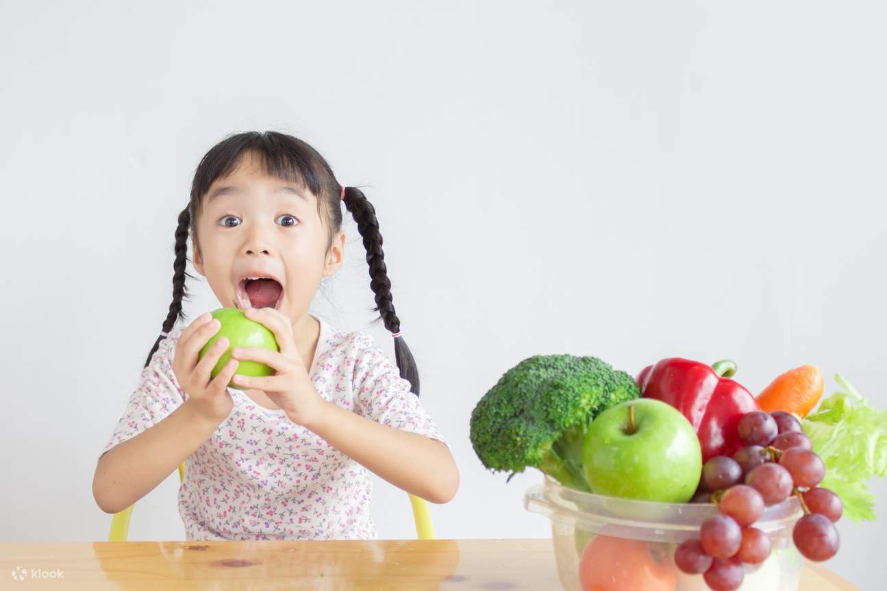 Noah's Academy Camps | Creativity Exploration Fun Camp / STEAM Missions ...