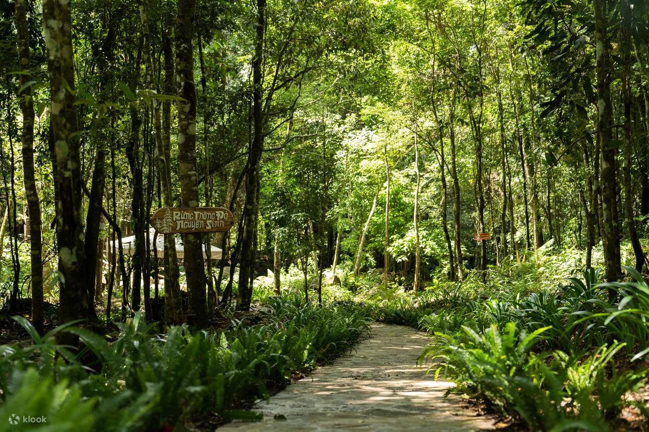 Tiket Hutan Pinus Gunung Gajah Dalat - Klook Amerika Syarikat