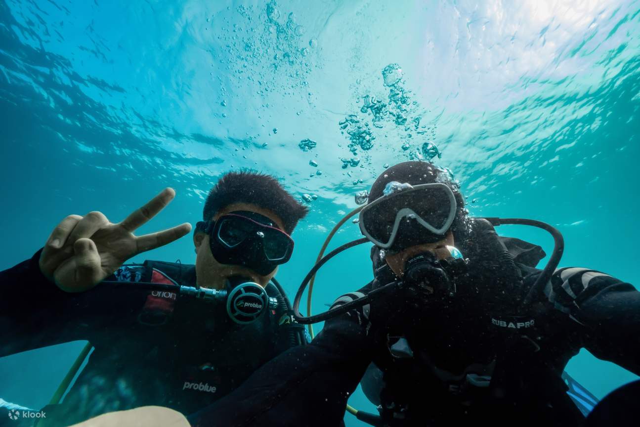 Ruifang, New Taipei: IDiver Sea Monster Diving Center - Free Diving・PADI Scuba Diving Course - Klook