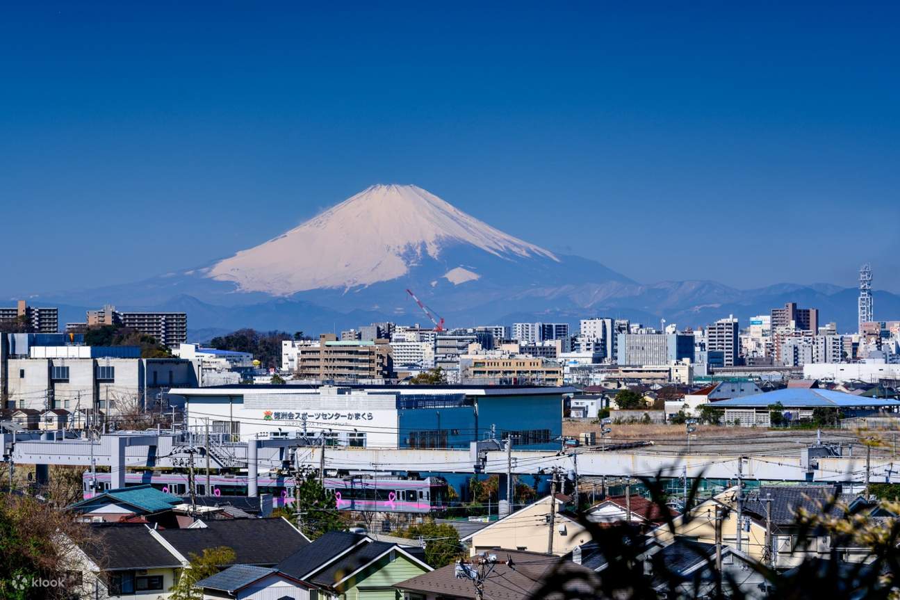 Shonan-Monorail-Ticket - Klook, Vereinigte Staaten