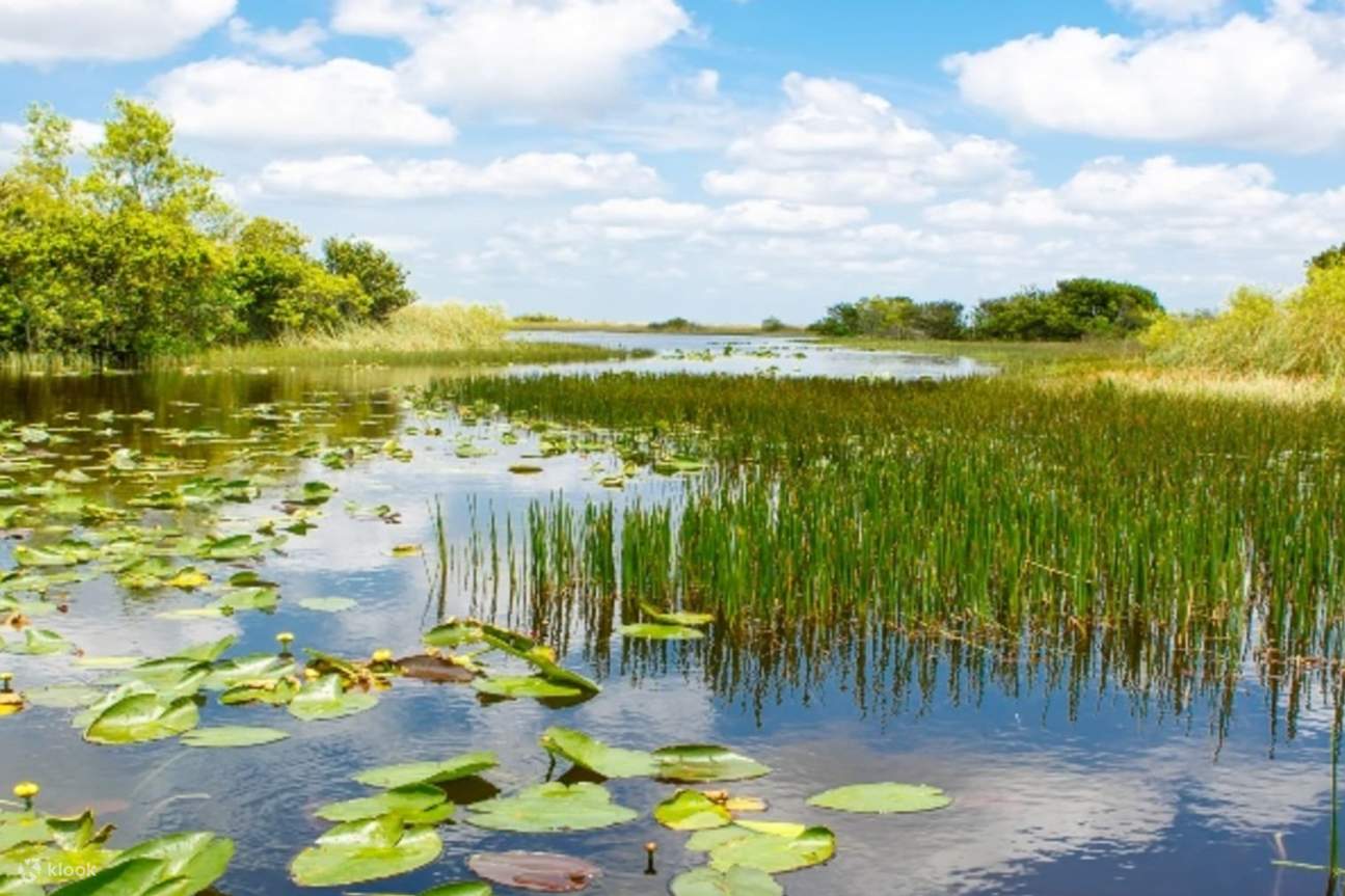 Everglades Safari Tour from Fort Lauderdale - Klook