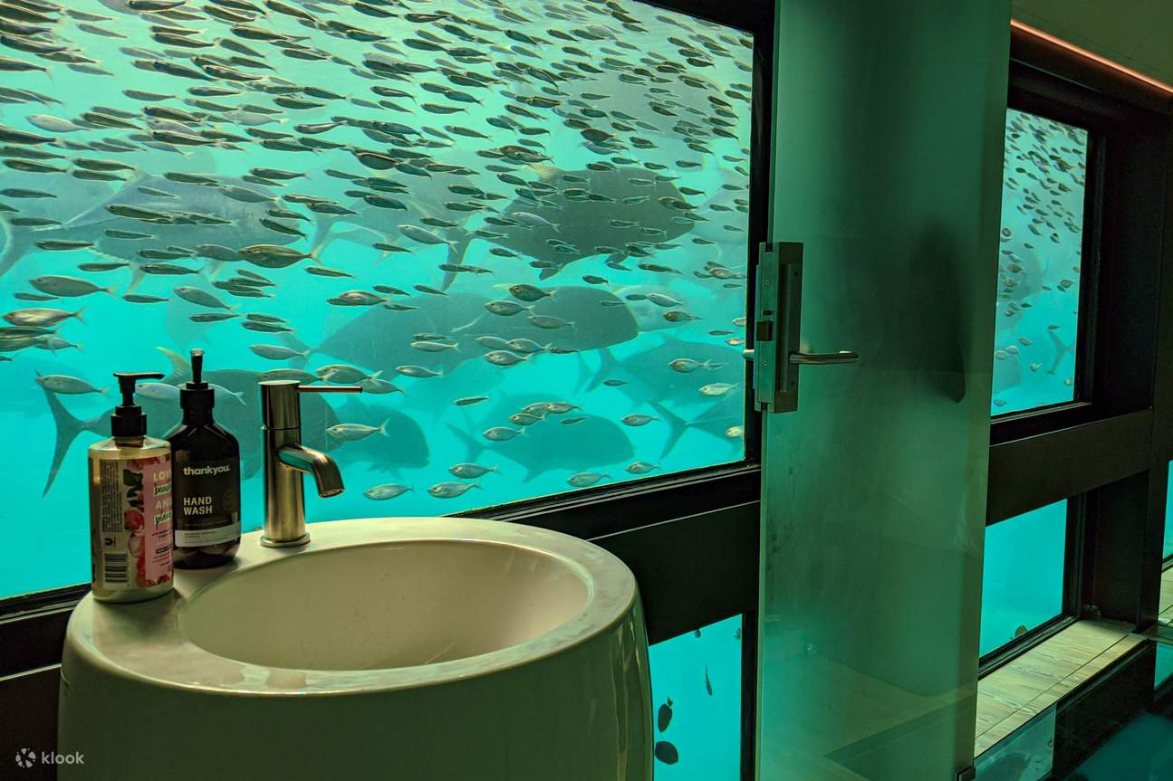 2D1N Underwater Hotel in The Great Barrier Reef - Klook