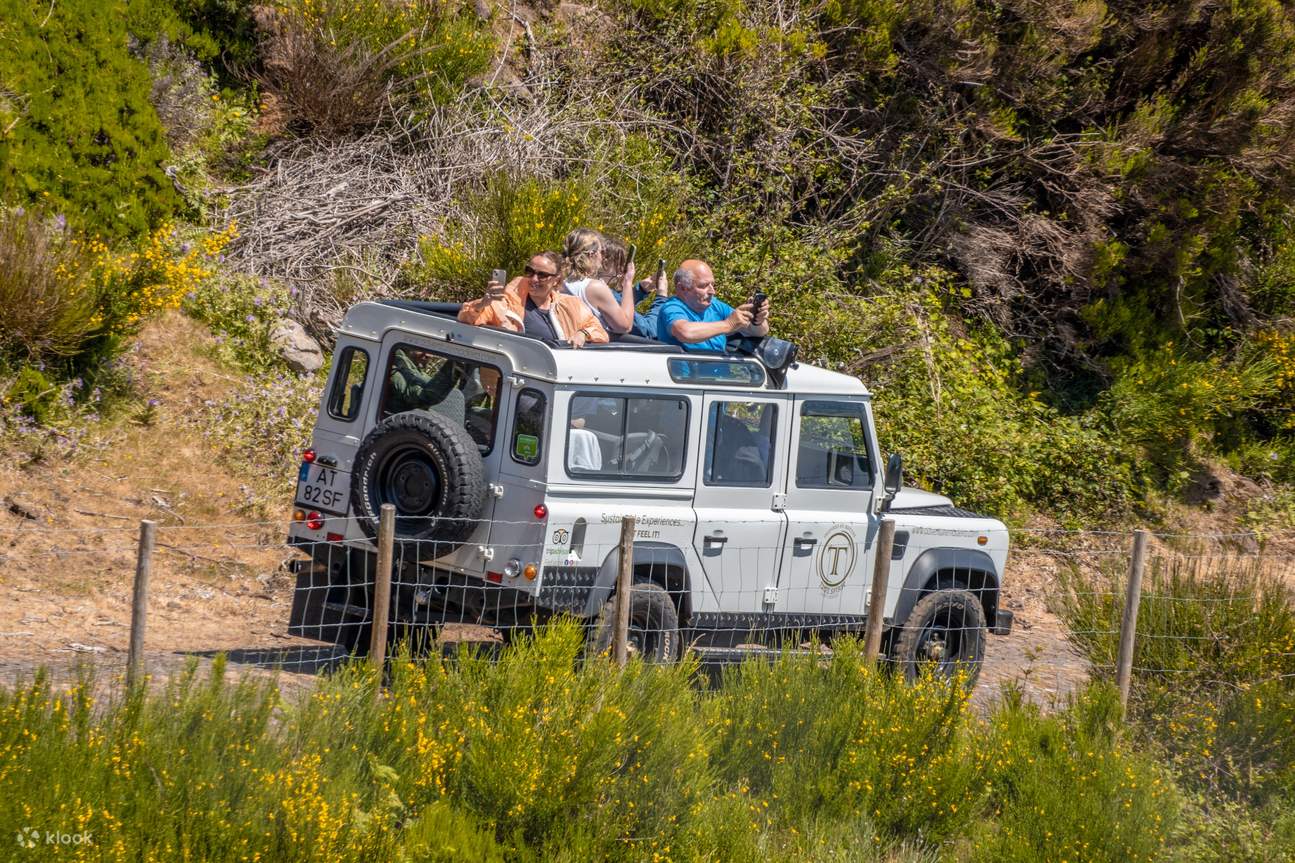 Discover Nature's Beauty: Rabaçal 25 Fountains Levada Walk & Skywalk in ...