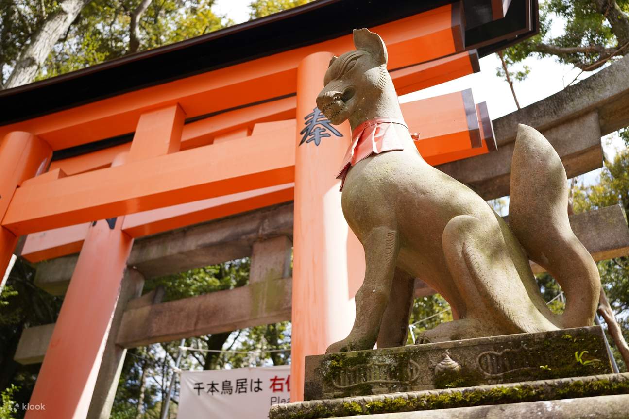 One-day trip to Fushimi Inari Shrine & Kinkakuji Temple & Nara Park (departing from Osaka/Kyoto ...