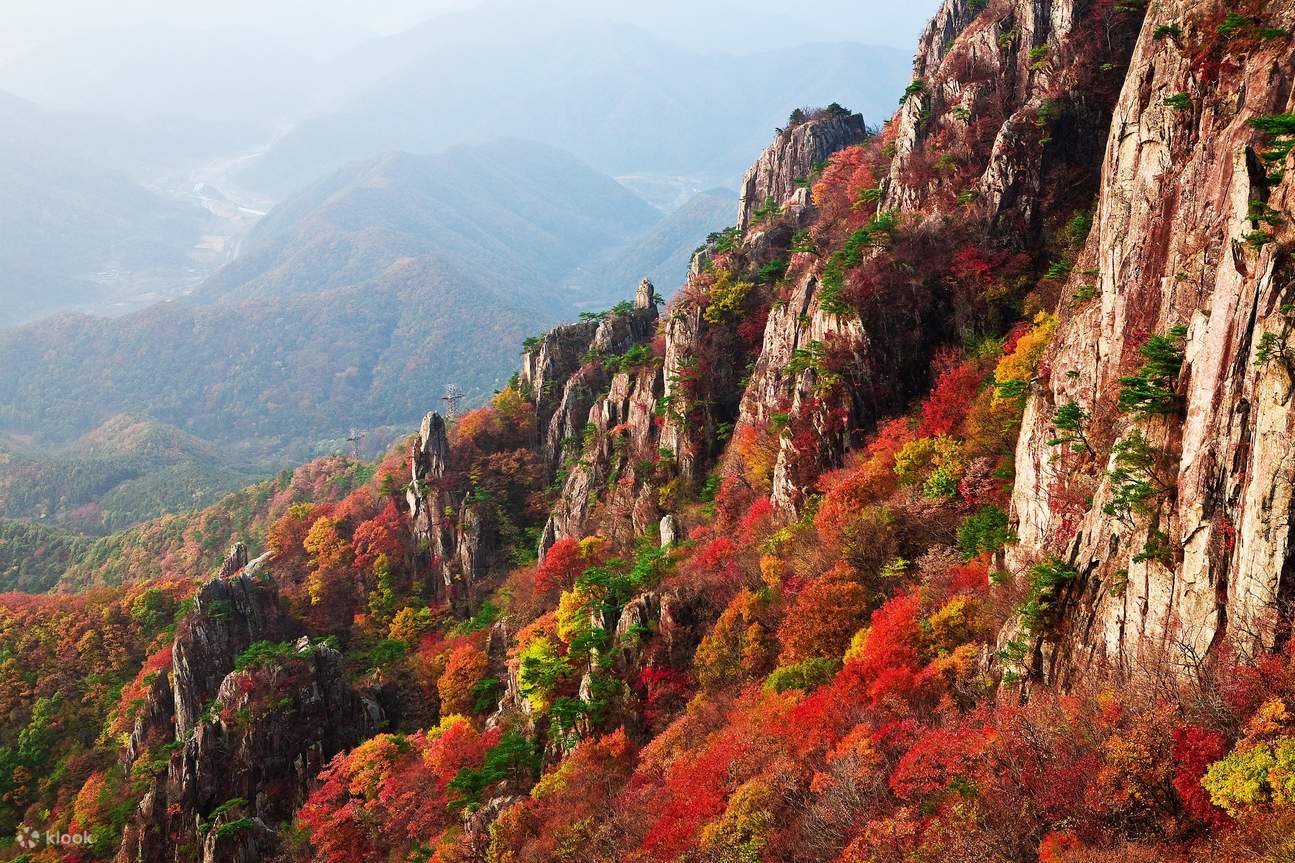 Memorable Autumn Foliage Day Tour from Busan - Klook Australia