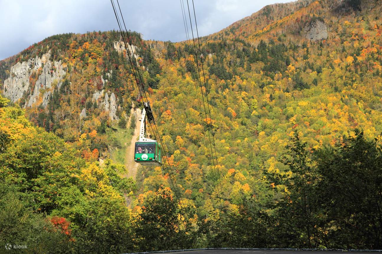 Kurodake Ropeway & Asahiyama Zoo & Blue Pond Autumn One Day Bus Tour ...