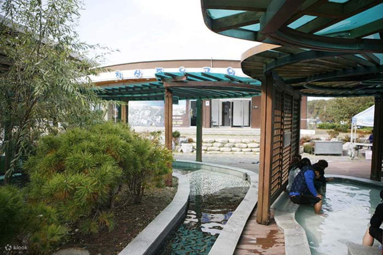 Seoraksan National Park with Cable Car Day Tour from Seoul - Klook ...