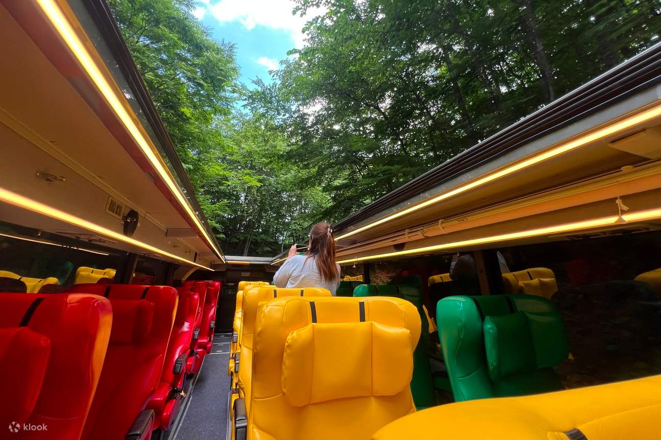 Miyagi: Autumn Leaves & Zao Fox Village 1Day Tour (Sendai Departure ...