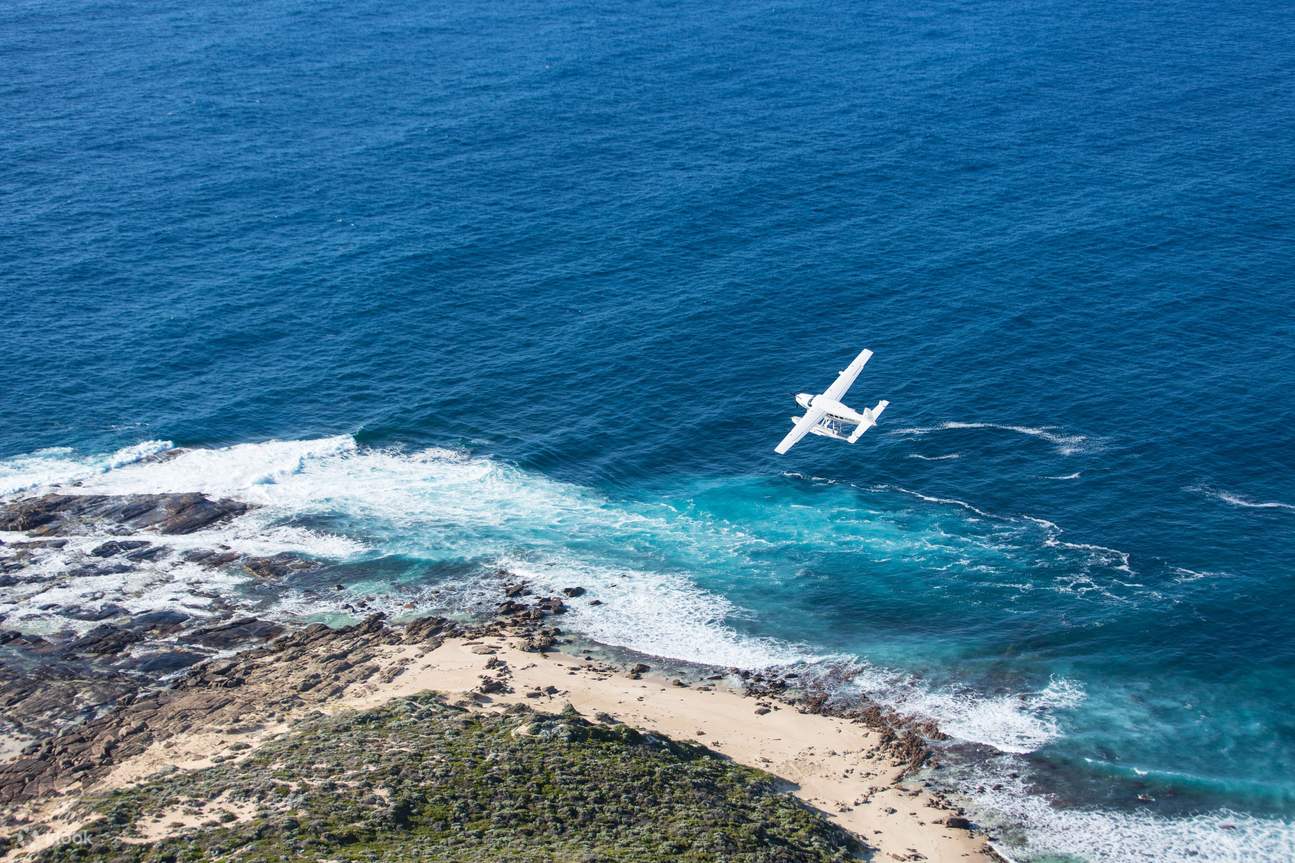 Flug mit dem Wasserflugzeug nach Rottnest Island - Klook, Vereinigte ...