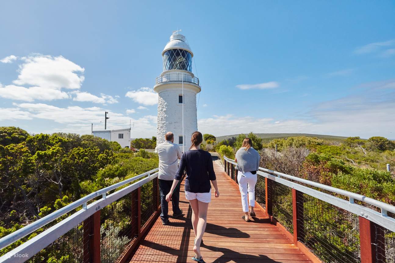 Margaret River Region Lighthouse Tours in Perth, Australia - Klook