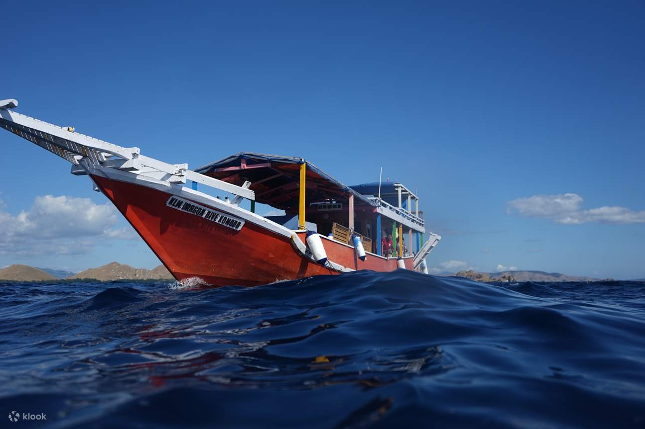 Discover Scuba Diving with PADI 5 Star Dive Center - Klook