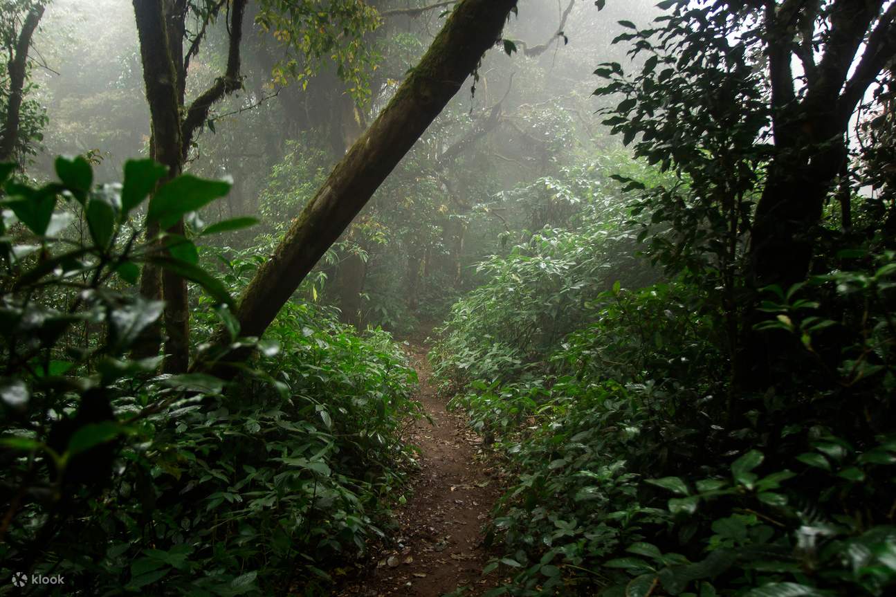 Chiang Mai: Mae Khong Village & Huay Nam Yen Waterfall 2-Day Tour - Klook Philippines