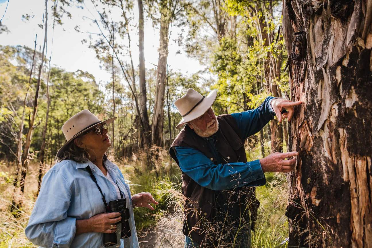 Wildlife Walking Tour from Canberra - Klook Australia
