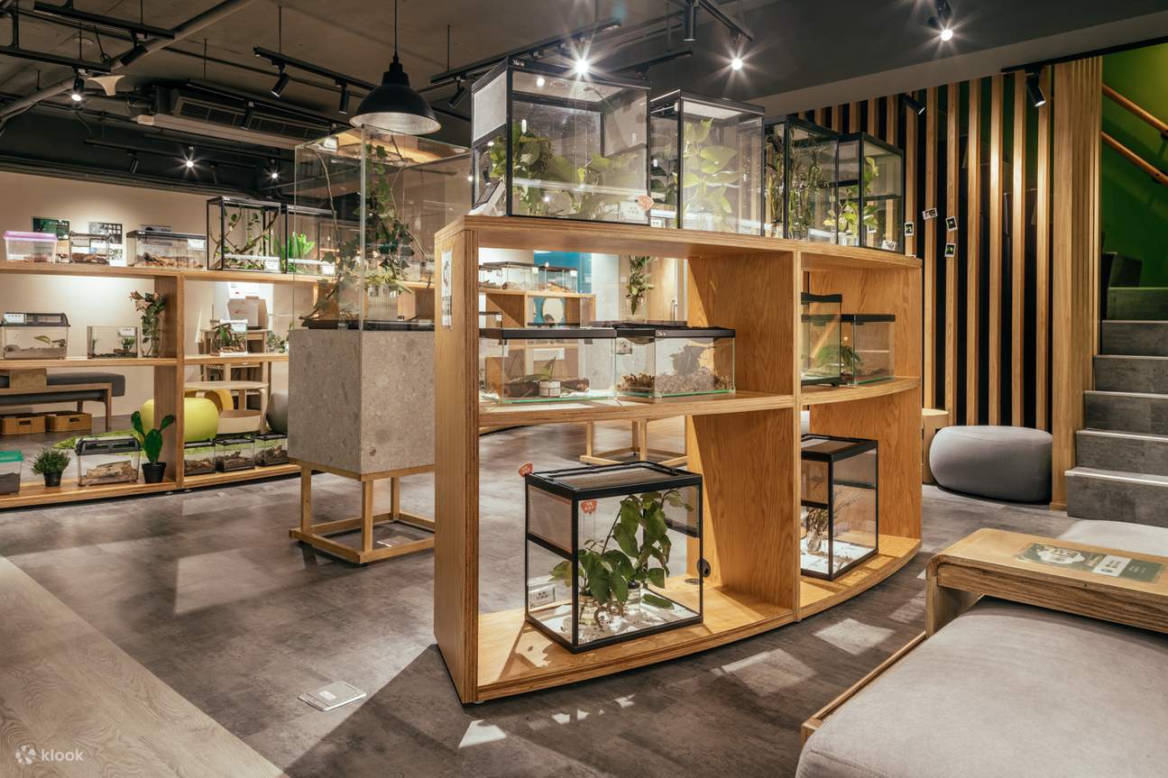 Taipei: Visit and Explore the Bugs Bass Insectarium - Klook