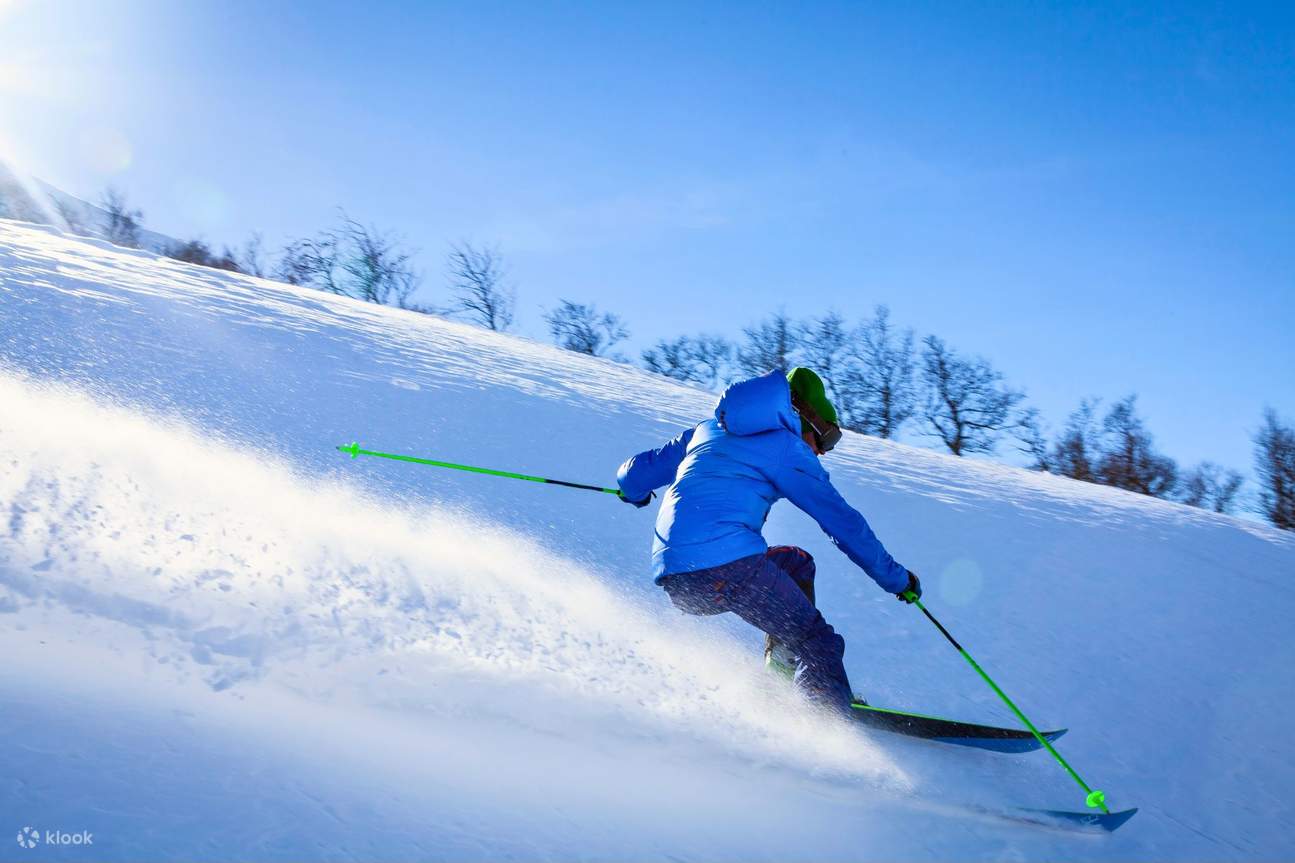 Hakuba Goryu & 47 Ski Resort 3 days and 2 nights ski trip (from Tokyo ...