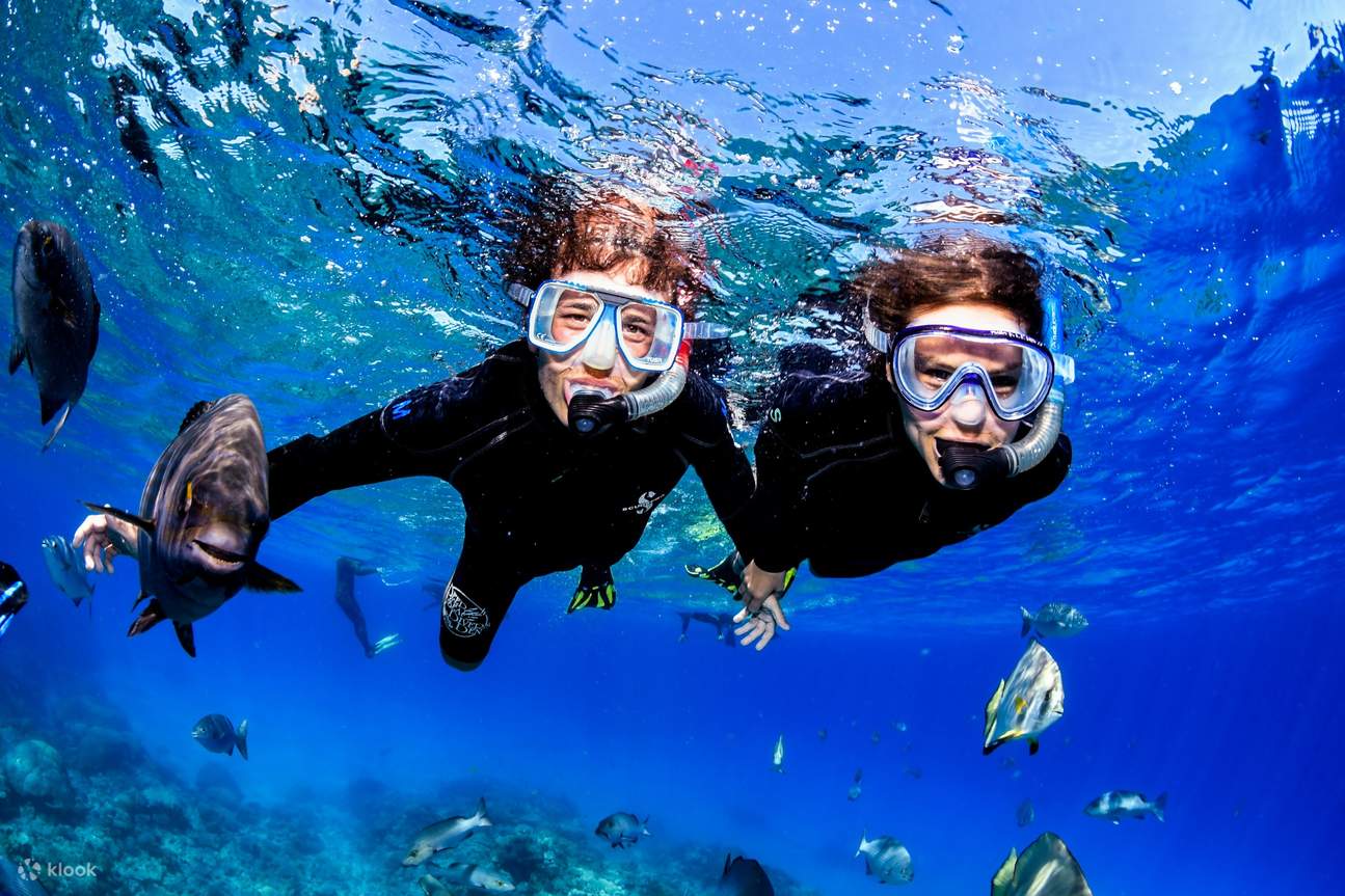 Great Barrier Reef Day Tours - Klook Australia