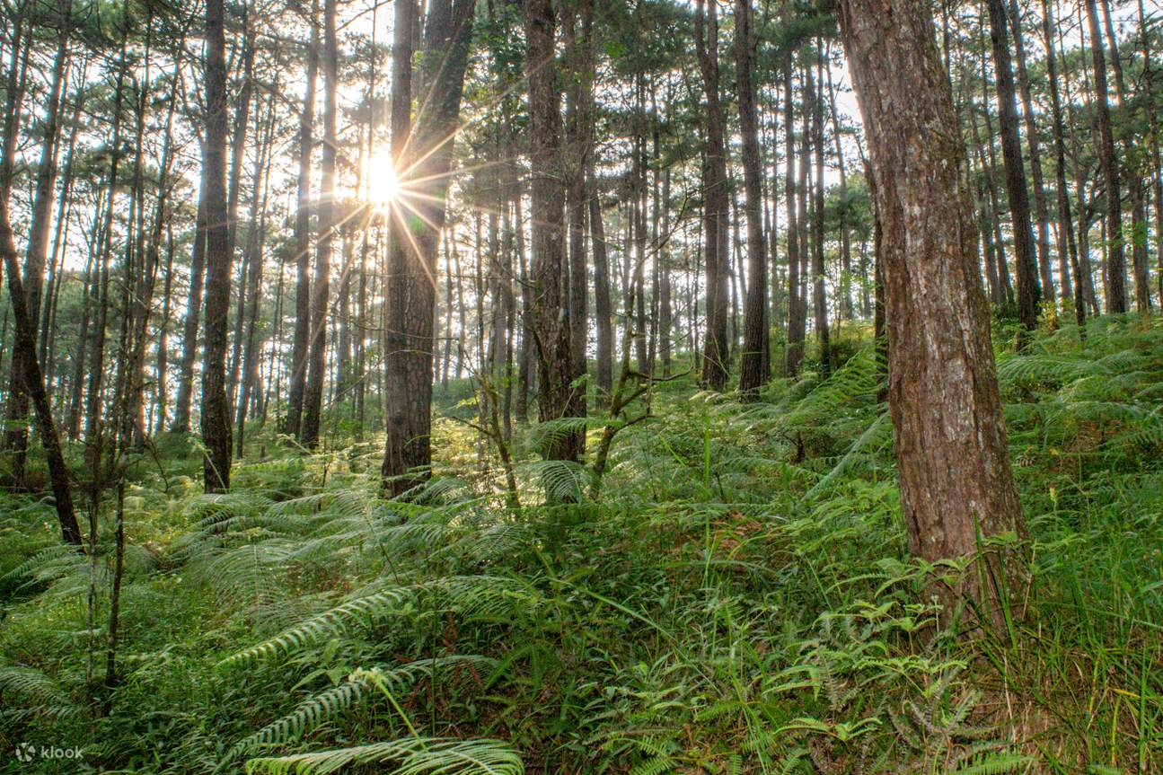 Baguio City Day Tour from Manila - Klook Hong Kong