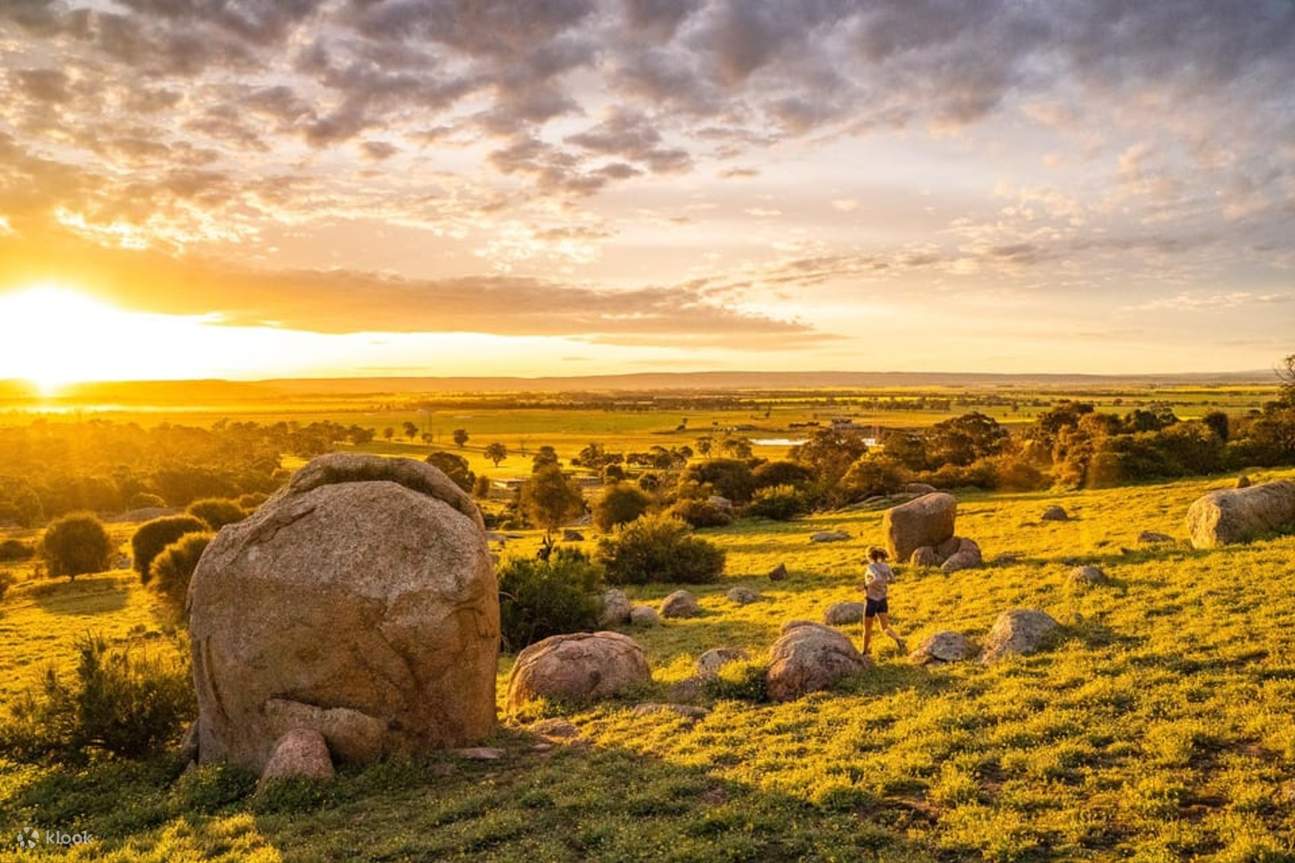 Melbourne Environmental Impact Day Trip - Klook Australia