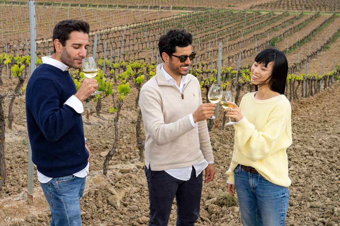 Wine Tour with 4WD Vineyards Experience Tour - Klook Singapore