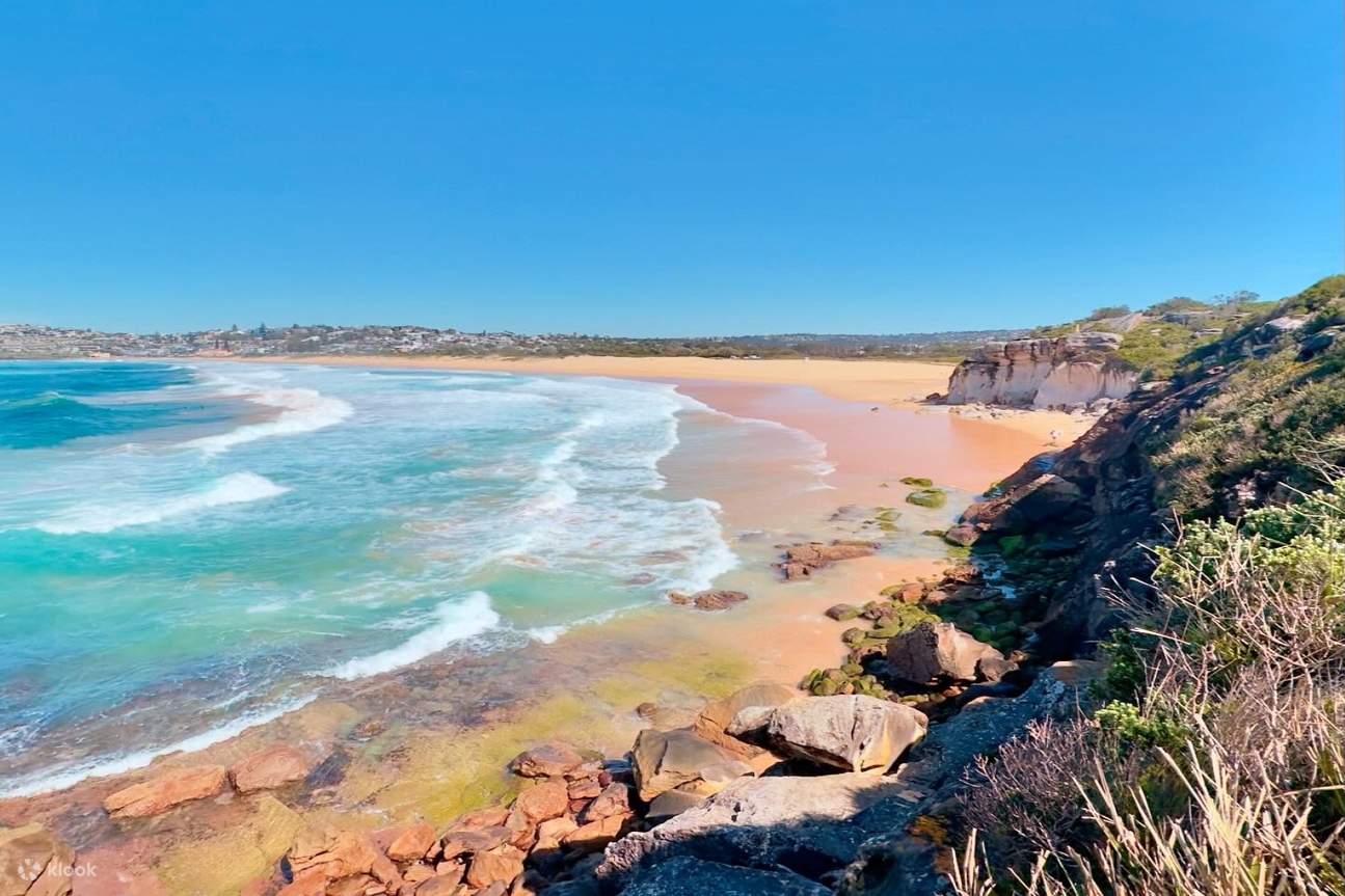 Best of Sydney's Wildlife & Beaches - Klook Australia