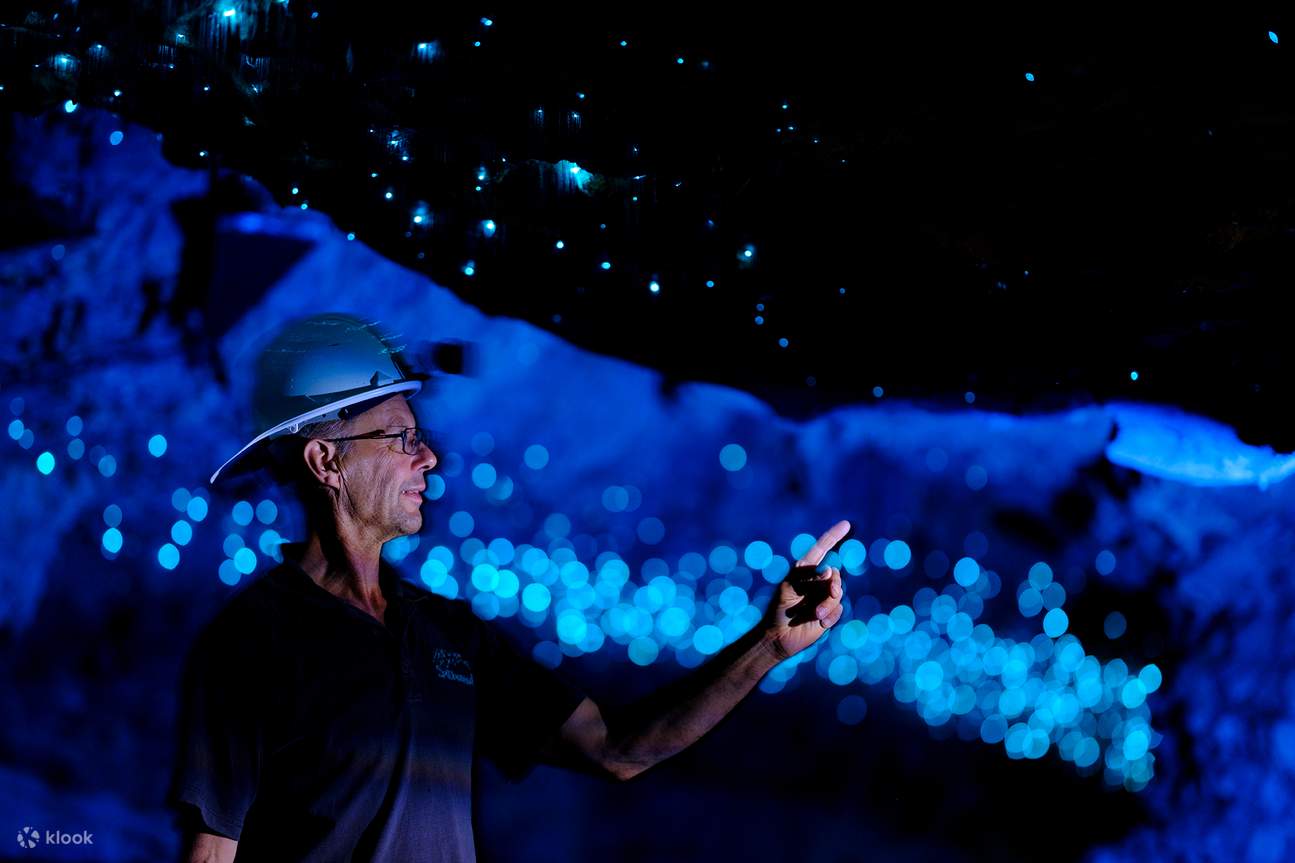 Black Labyrinth Black Water Rafting and Hobbiton Day Tour from Rotorua ...