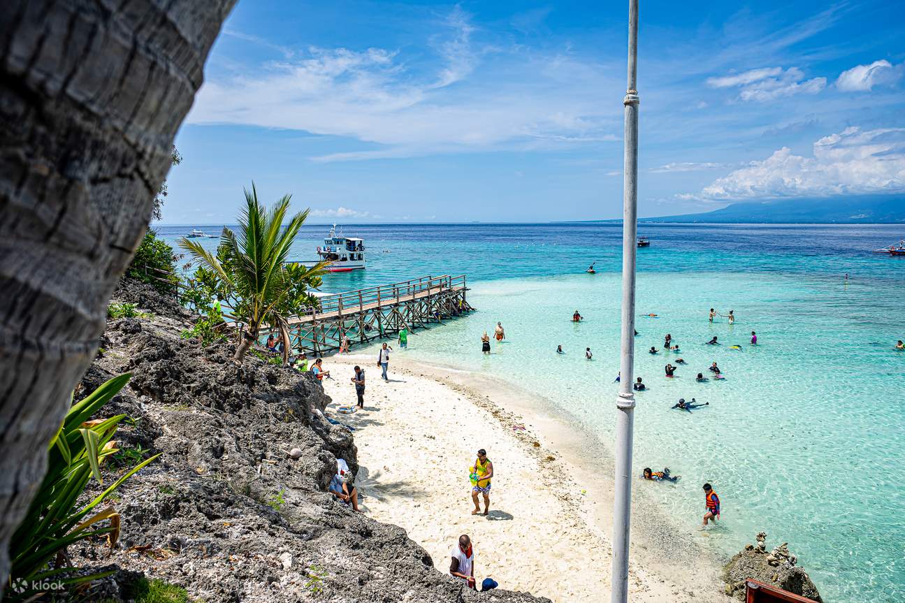 Whale Shark Snorkeling & Sumilon Island Hopping Tour in Cebu - Klook ...