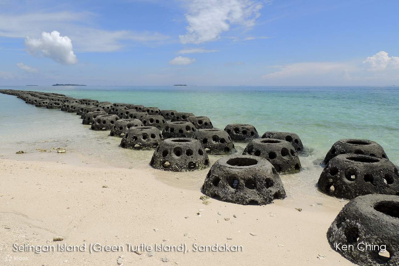 Menyaksikan 2D1N Pulau Penyu Selingan dengan Menyaksikan Penyu di ...