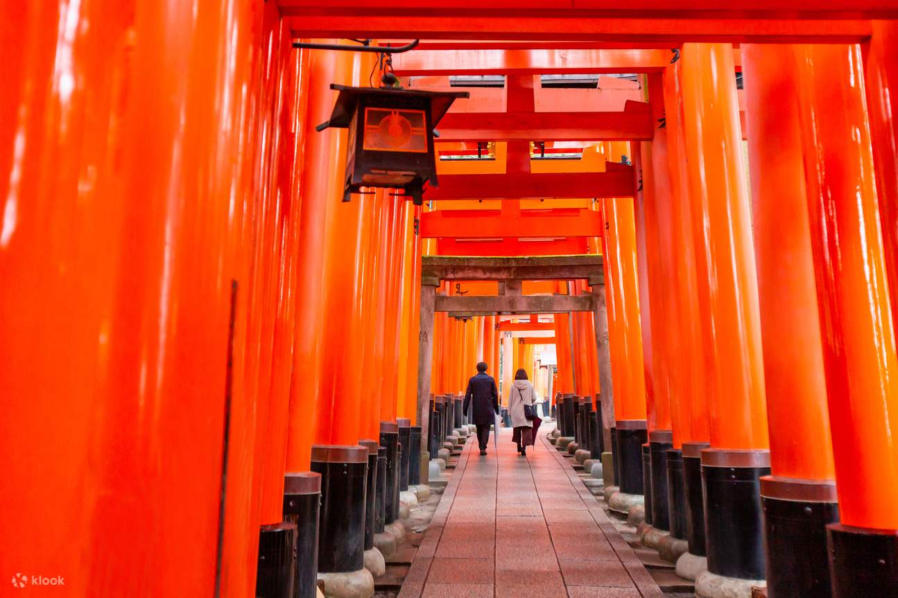 Visit the ancient capital of Kyoto｜One-day tour of Kinkakuji Temple ...