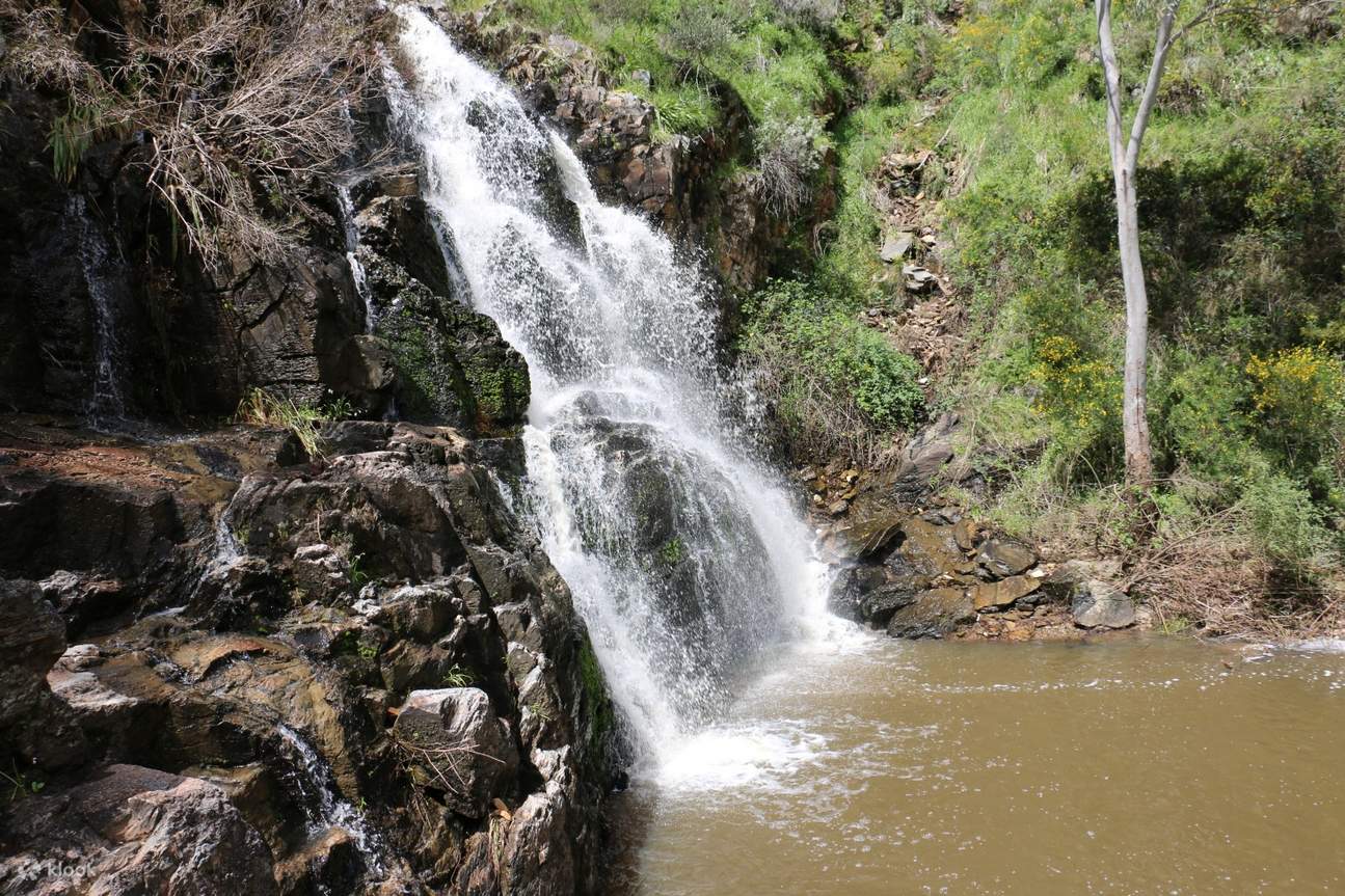 (unpublished by op) Morialta Conservation Park Hiking Experience with ...