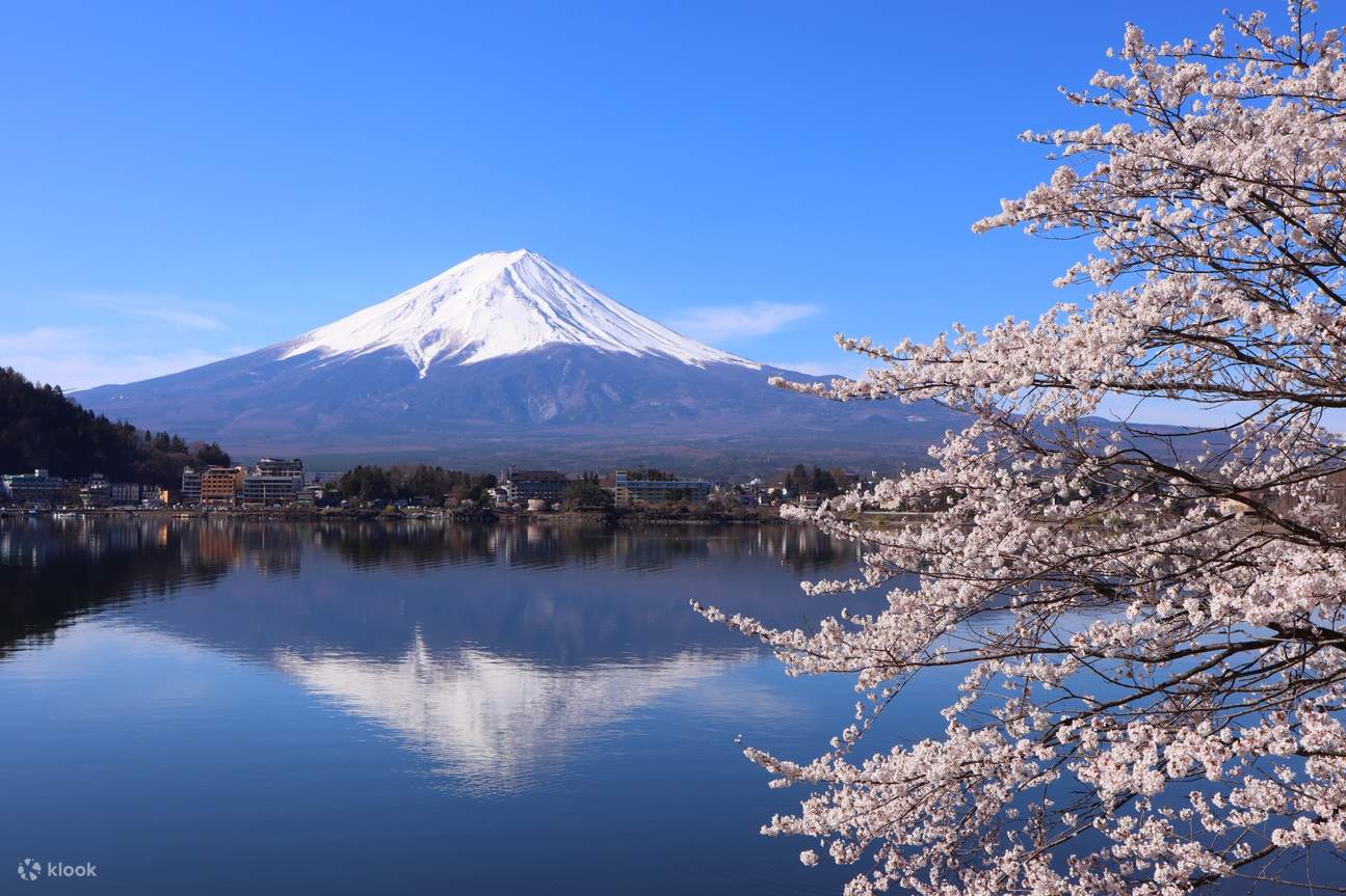 Tour giornaliero da Tokyo dei punti panoramici del Monte Fuji e del ...