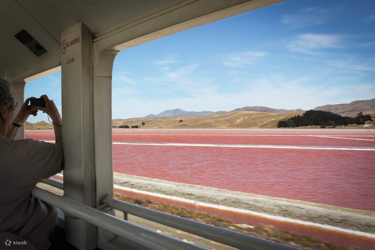 Tiket Kereta Pesisir Pasifik Antara Christchurch dan Picton, Selandia ...