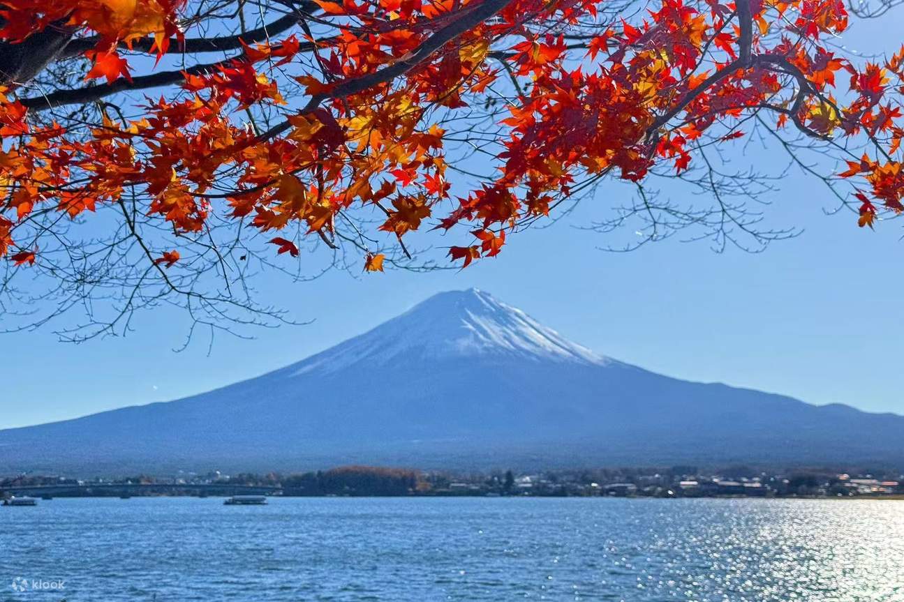 Sengen Park, Hikawa Watch Shop, Oshino Hakkai, and Lake Kawaguchi Day ...