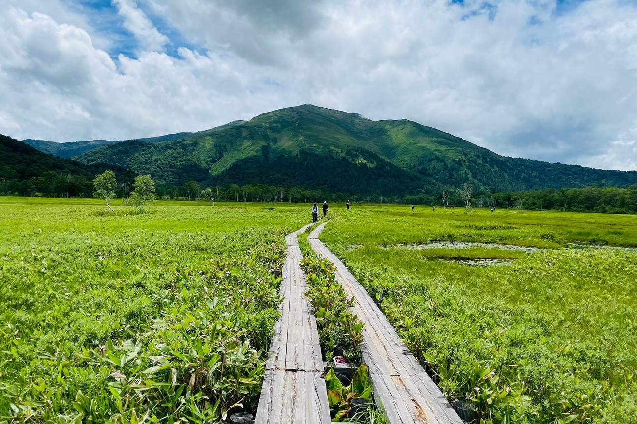 Oze Hiking Experience & Boko-no-Yu Hot Spring Day Trip (Depart from ...