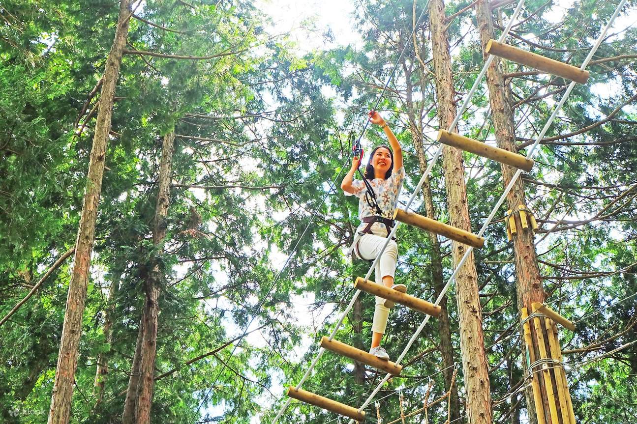 Mt. Fuji View Zip Line, Mishima Skywalk, & Forest Adventure Set Ticket ...