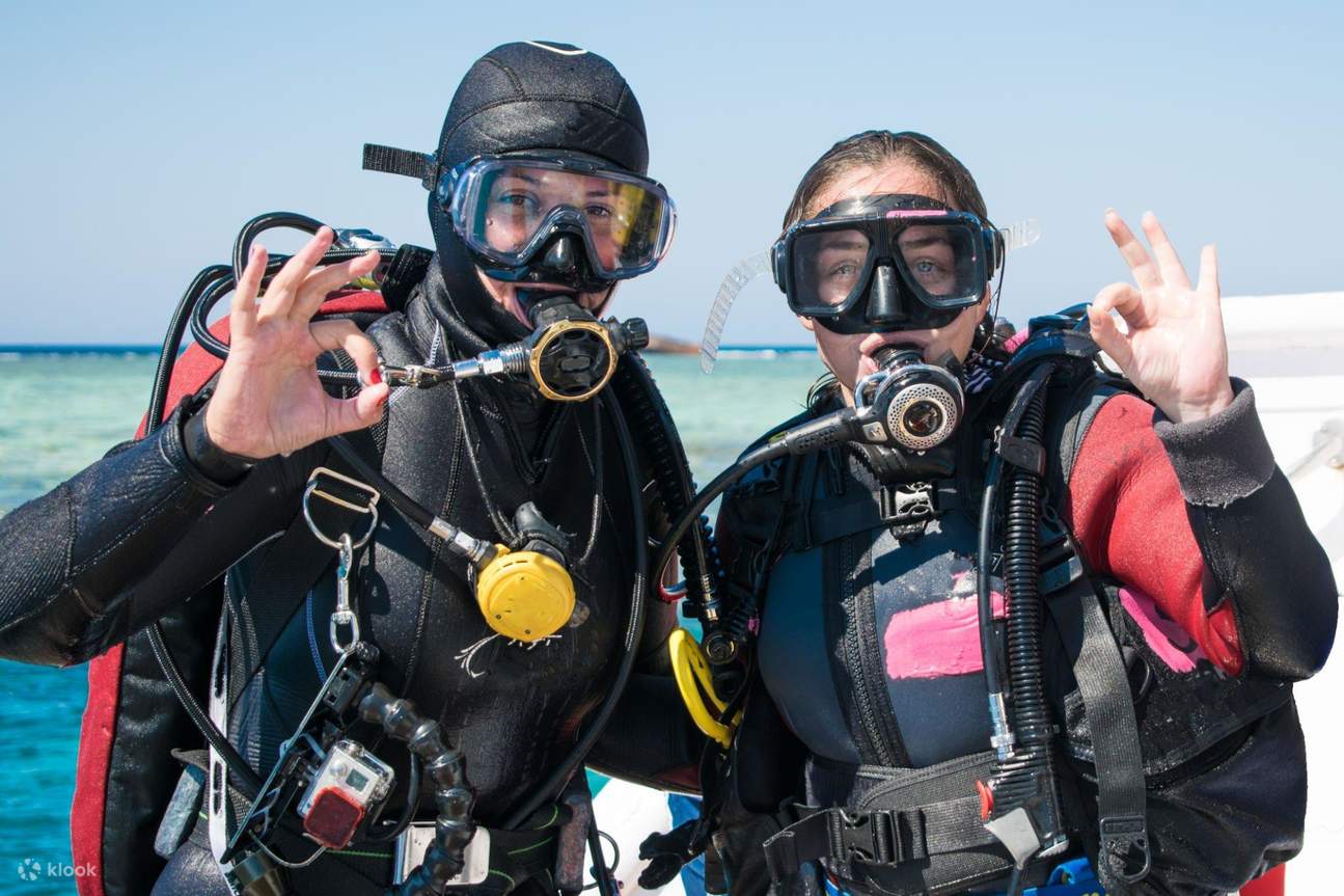 Professional Scuba Diving Boat Trip With Lunch & Transfer – Hurghada ...