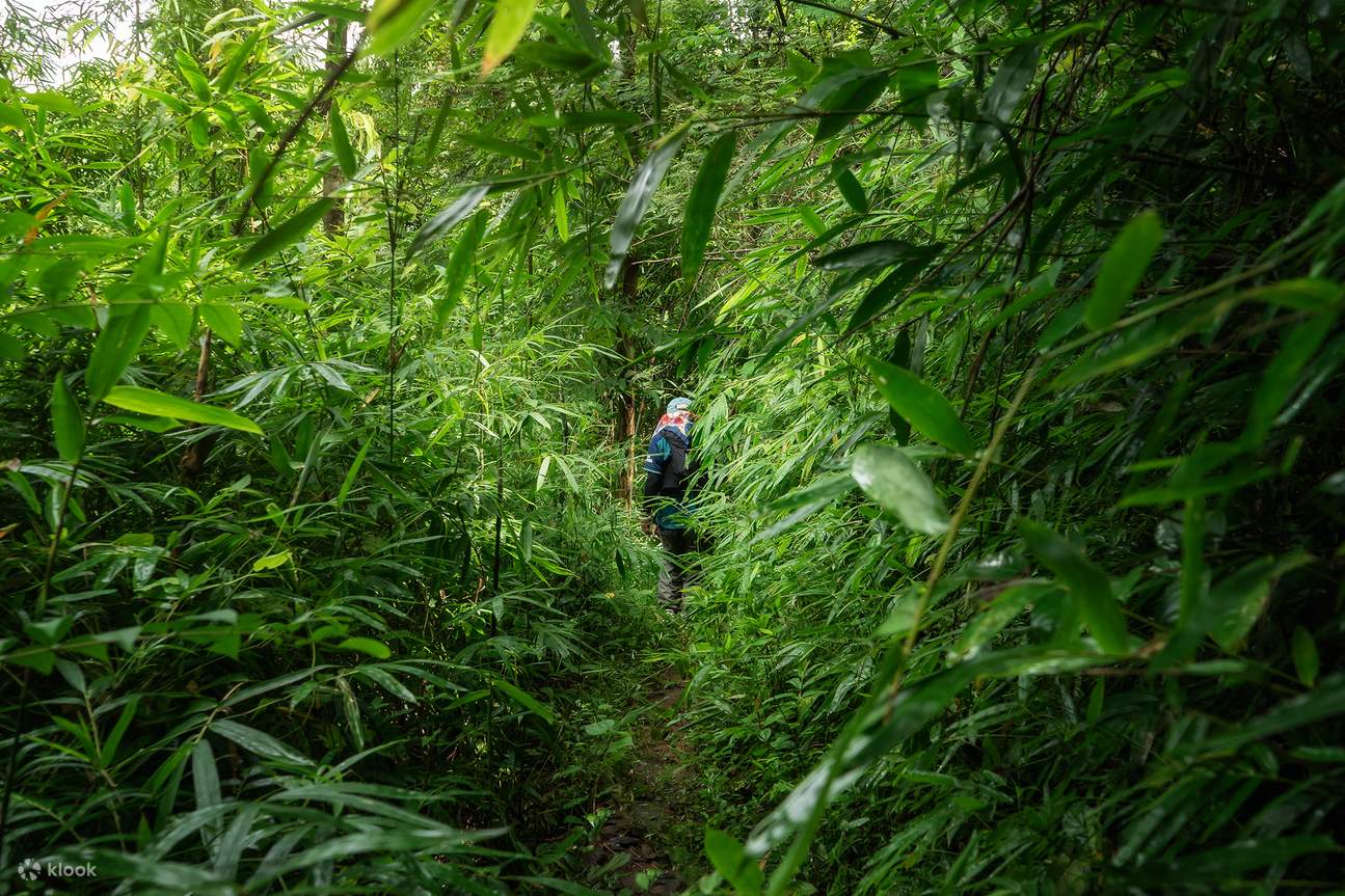 Chiang Mai Wat Luang Khun Win & Waterfall Full Day Hiking Adventure ...