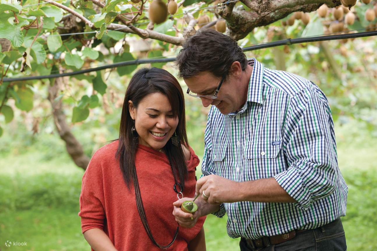 Agrodome Farm Admission Ticket in Rotorua, New Zealand - Klook