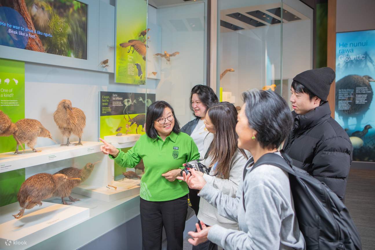 Pagpasok sa Museo ng Te Papa sa Wellington - Klook Estados Unidos