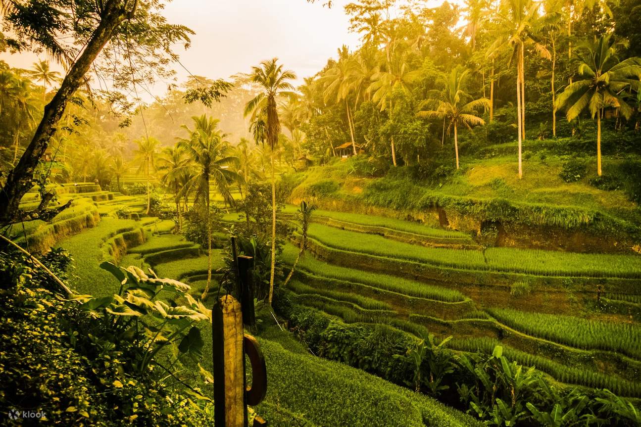 Full Day Spiritual Cleansing And Shamanic Healing Tour in Bali - Klook ...