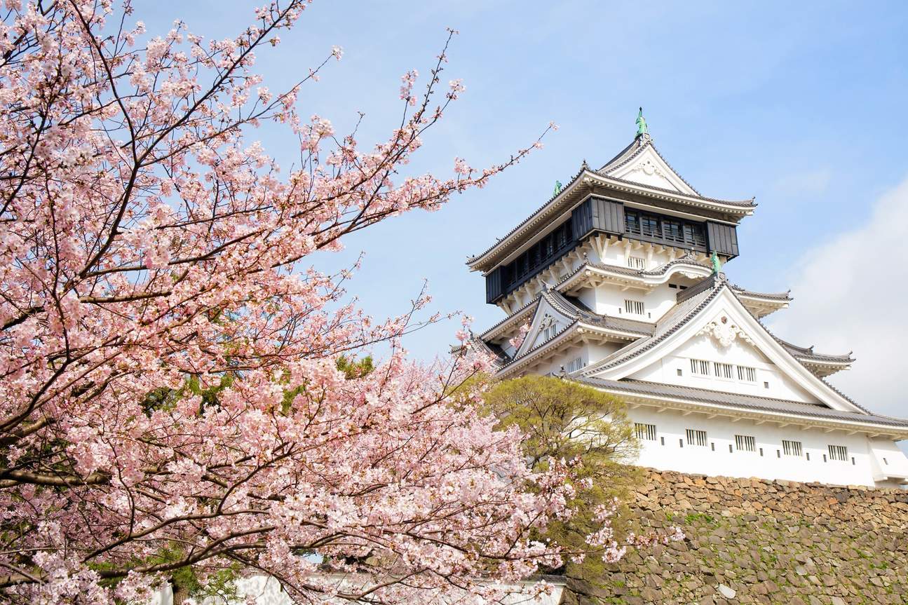 Kawachi Wisteria Garden, Kokura Castle, and The Outlets Kitakyushu Day ...
