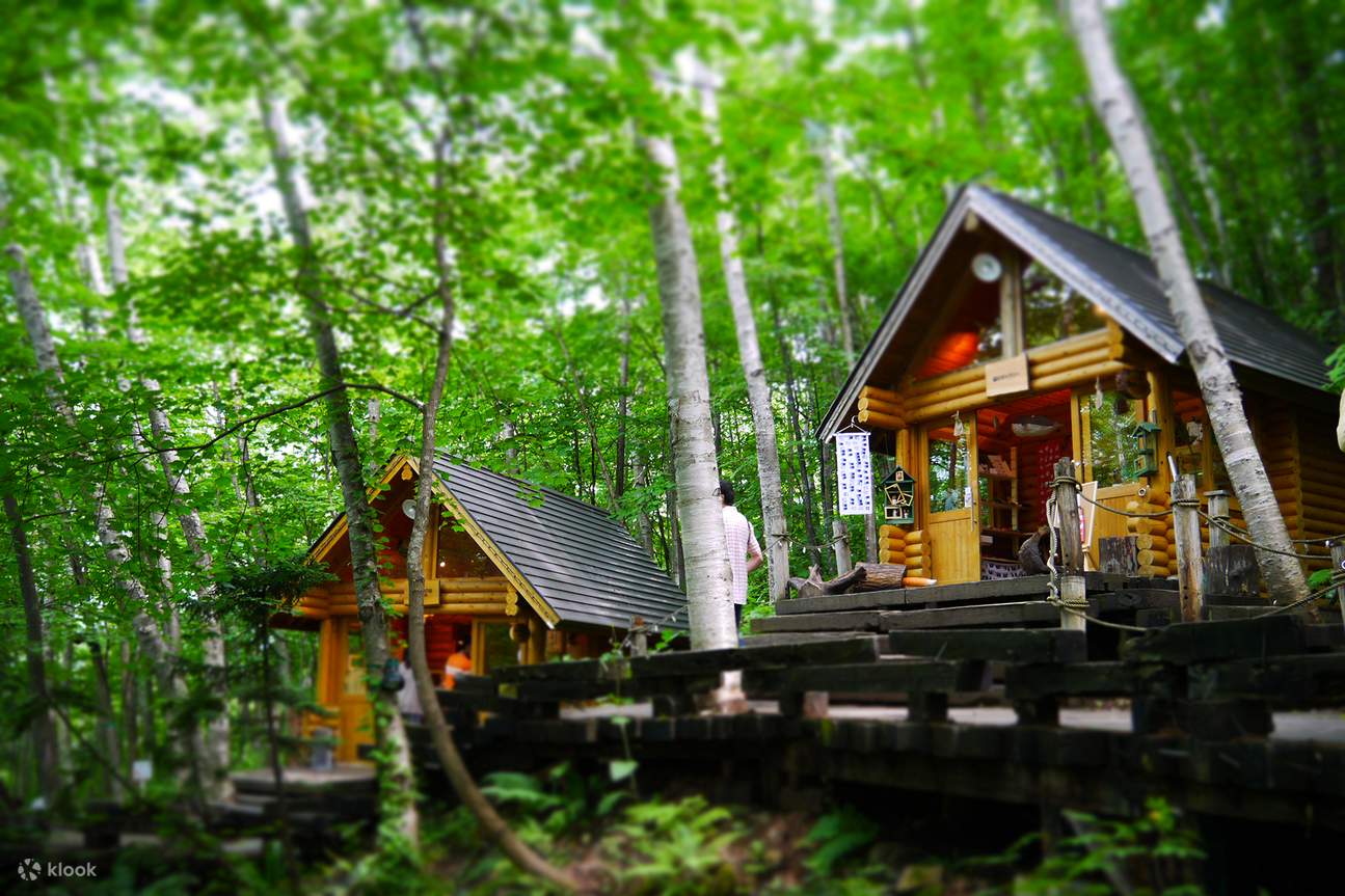 Hokkaido | Tomita Farm & Green Pond & Furano & Forest Fairy Terrace Day ...