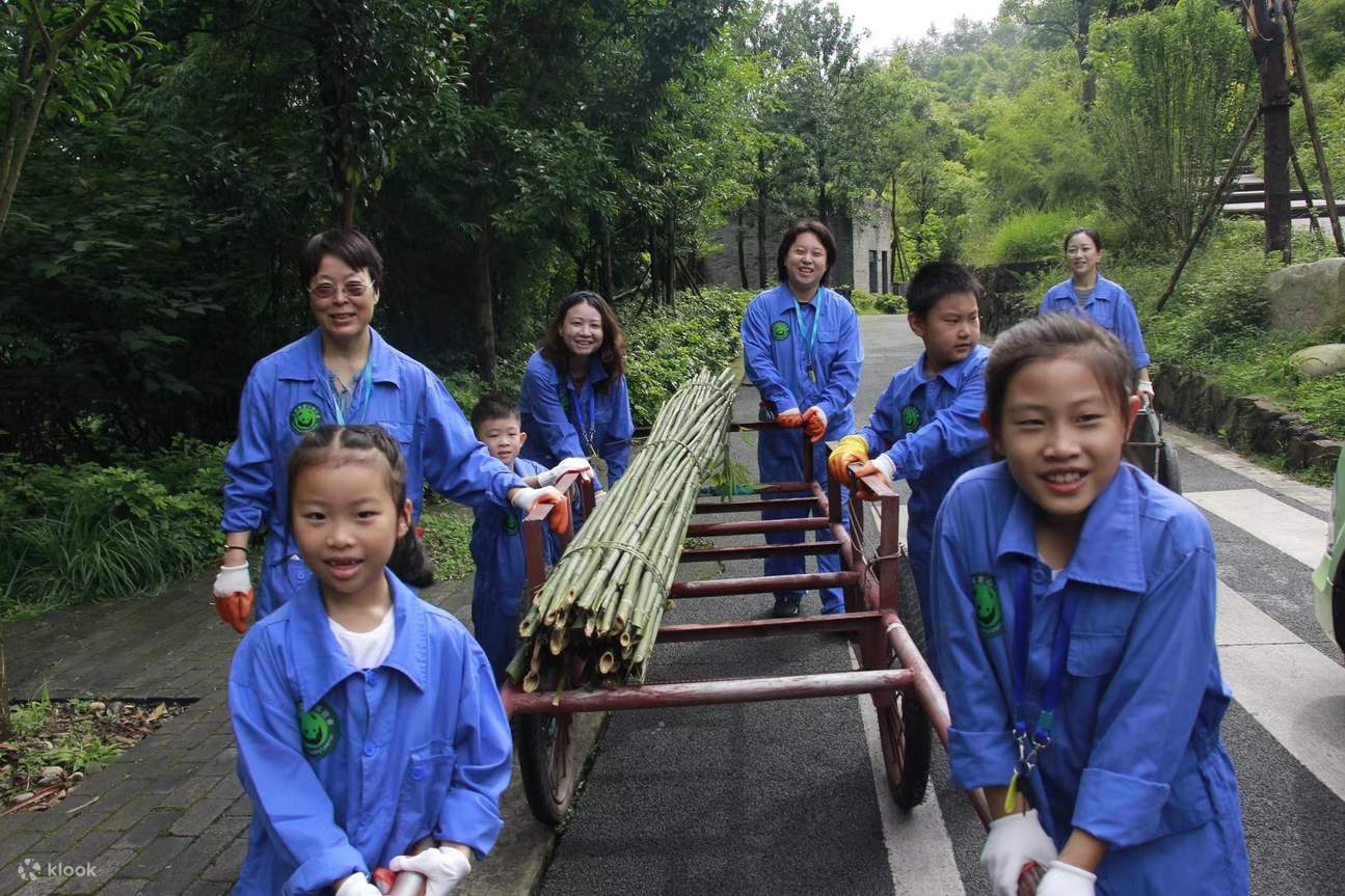 Giant Panda Loving Heart Volunteer Experience - One Day Tour - Klook ...